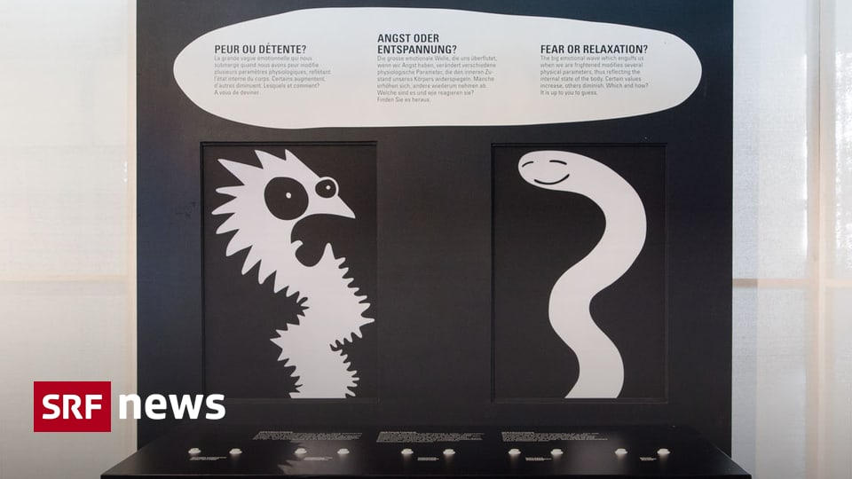 Zürich Schaffhausen - Wenn das Herz rast und der Atem stockt - News - SRF