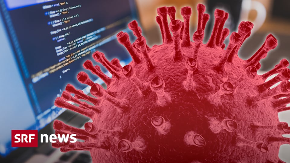 Antiviren-Software - Wenn der Virenschutz zum Schädling wird - News - SRF