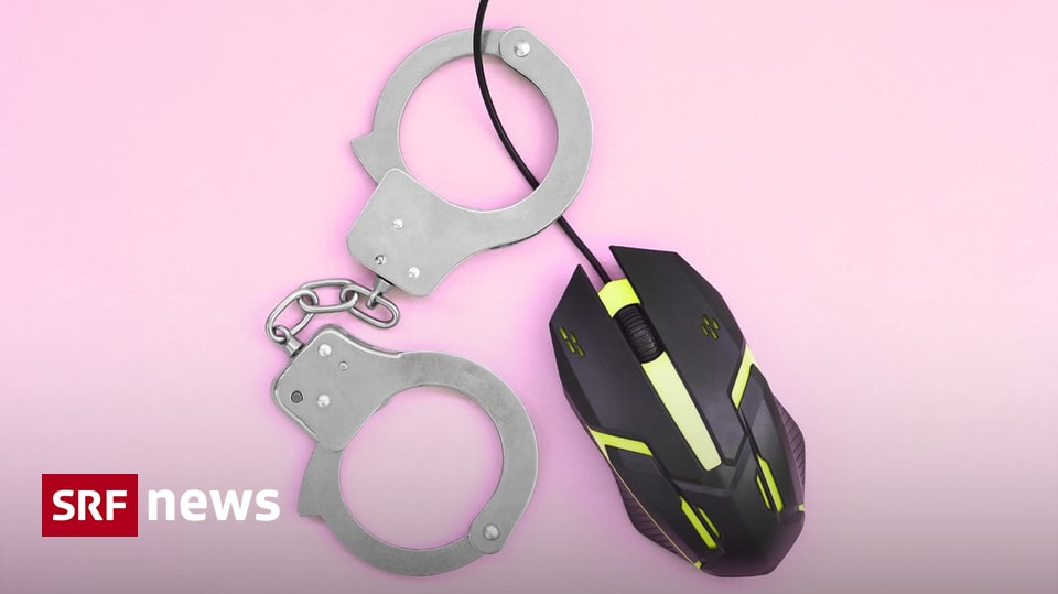 Ethische Hacker - Ist Hacken strafbar, auch wenn es gut gemeint ist ...