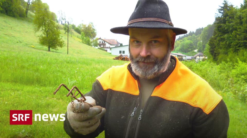 Bern Freiburg Wallis - Robert Mosimann lässt das Mausen nicht... - News ...