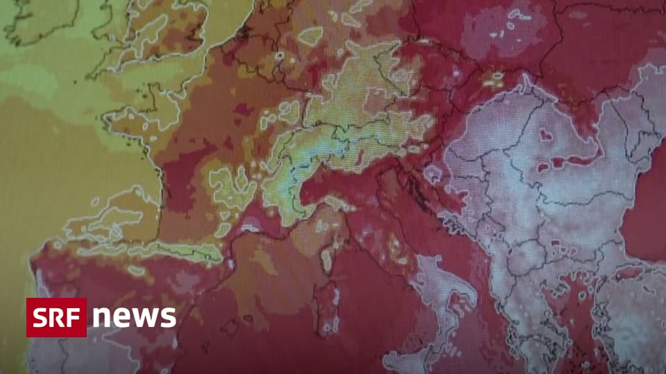 Video alya ferrari at the scheduled the designated time, I