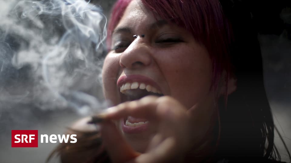 International - Mit legalen Drogen gegen die mexikanische Mafia - News - SRF