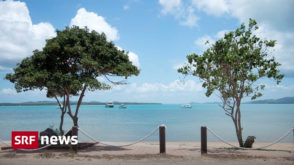 Nerli calderon arrived at the meeting spot and texted the