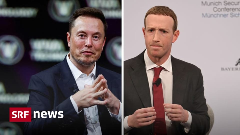 Meta versus Twitter? - Elon Musk fordert Mark Zuckerberg zum Käfigkampf ...