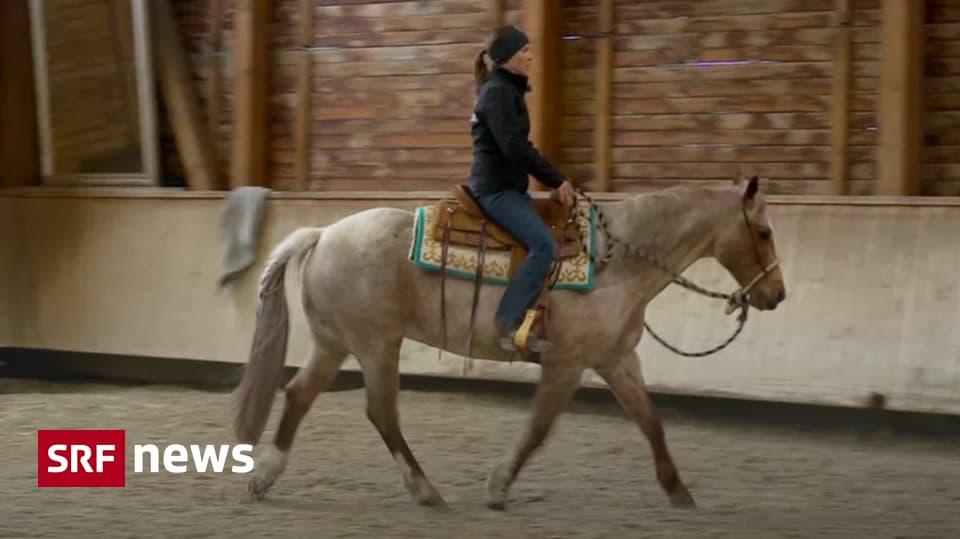 Reitsport - Eine Bündnerin dominiert das «Reined Cow Horse» - News - SRF