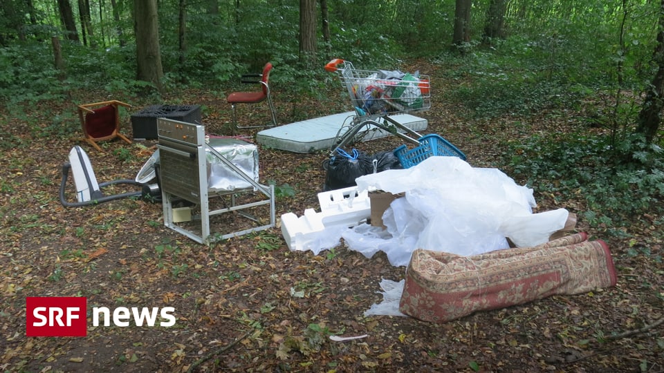 Basel Baselland - Der Basler Wald wird als Müllhalde missbraucht - News ...