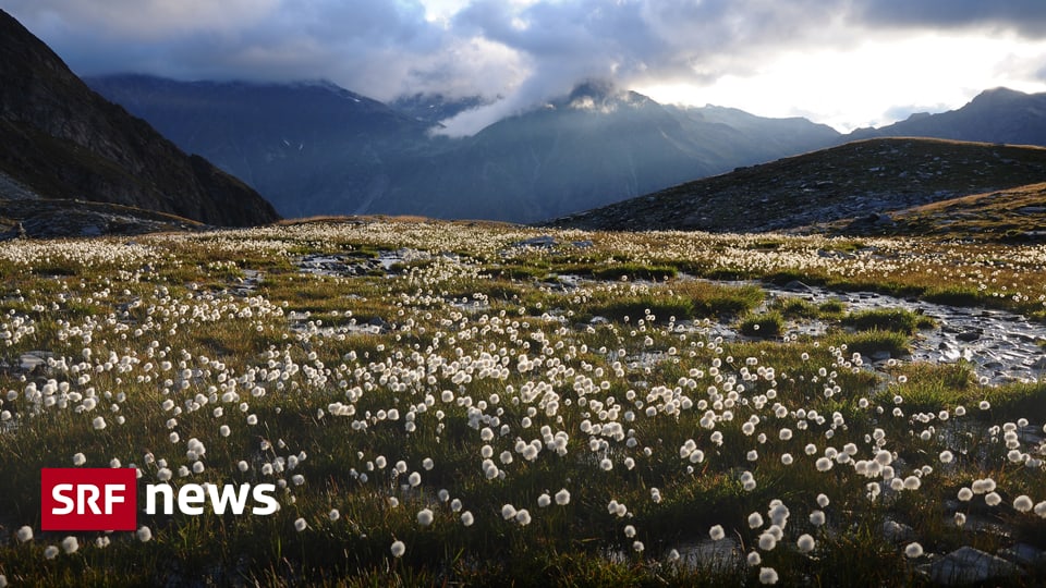 Graubünden - Parc Adula: Die Promotoren bieten persönliche ...
