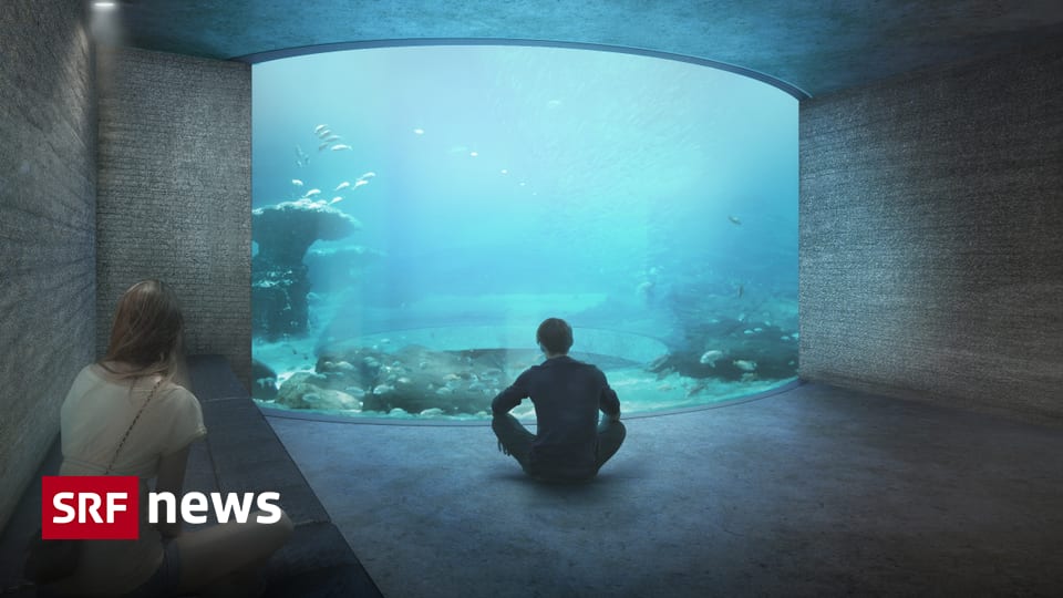 Grosses Aquarium - Ozeanium nimmt Parlamentshürde - News - SRF