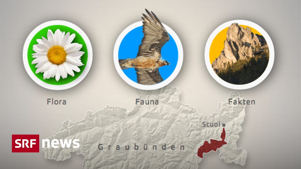 Infografik - Der Nationalpark – Fauna, Flora und weitere Fakten - News ...