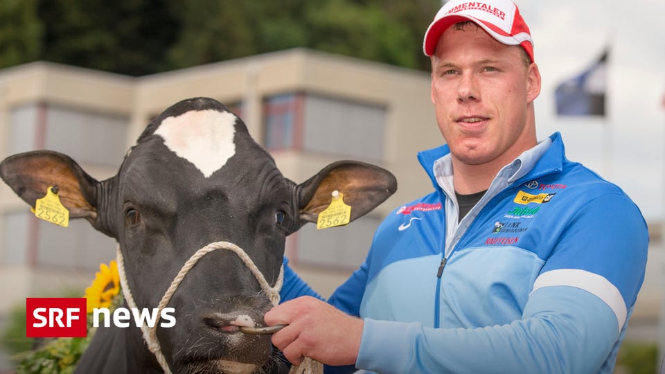 Aargau Solothurn - Schwingerkönig Sempach gewinnt das Aargauer ...