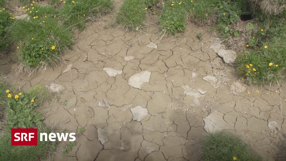 Trockenheit in den Bergen - Älpler schlagen Alarm: Z’Alp geht mancherorts das Wasser aus - News ...