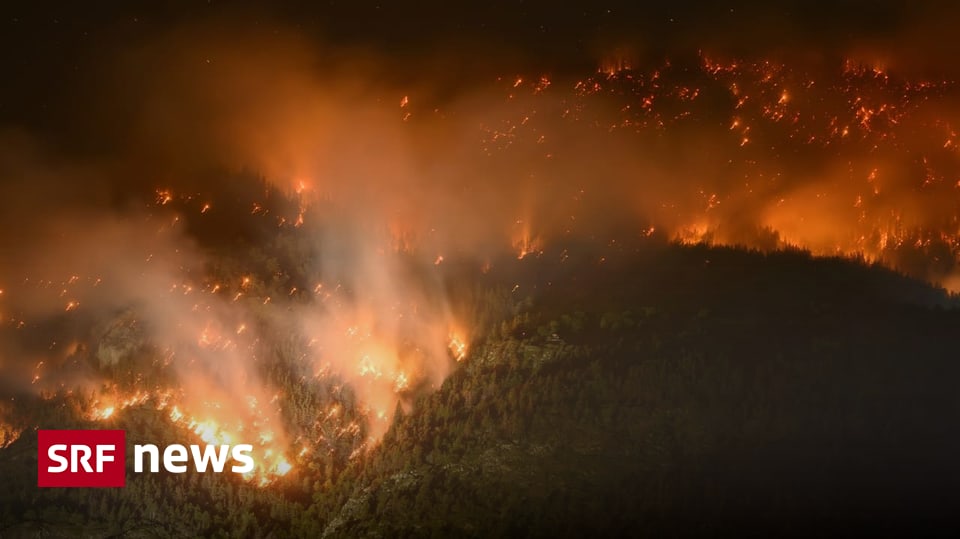 Waldbrand bei Bitsch (VS) - Trockenheit und Wind erschweren ...