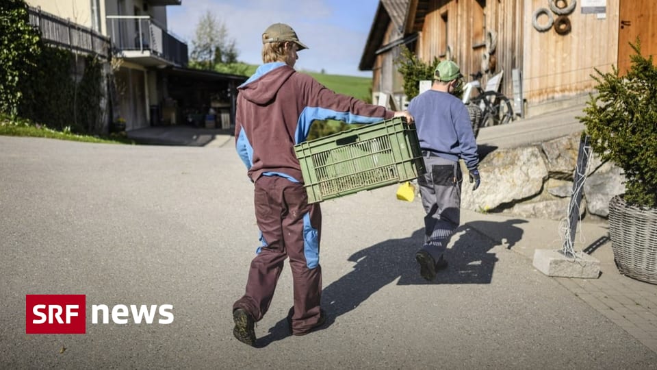 2. SRG-Umfrage zum Zivildienstgesetz vom 14.6.2026: Ja-Vorsprung büsst ...