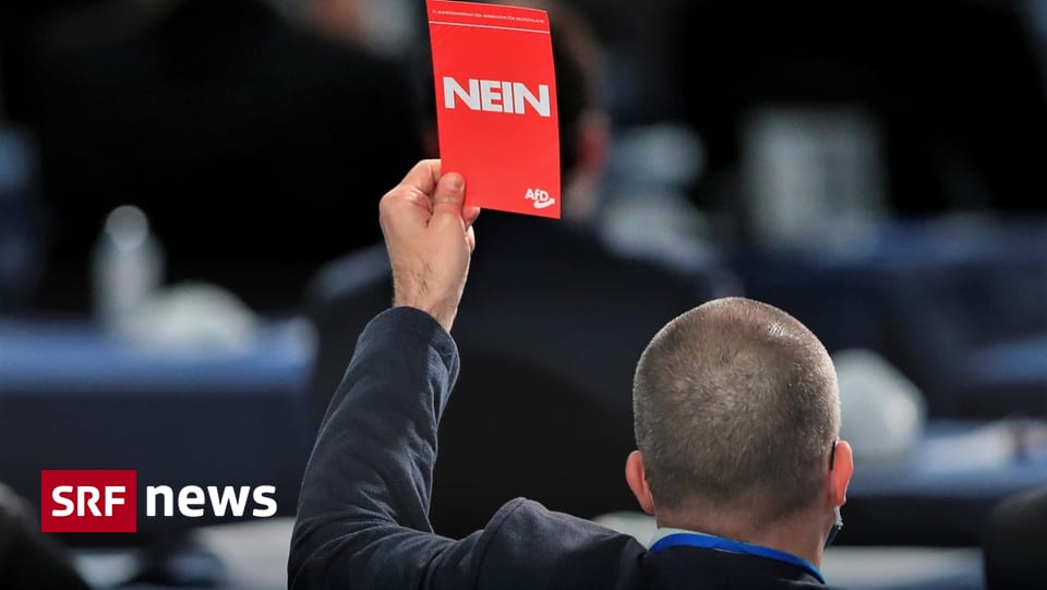 AfD unter Verdacht - Gericht verbietet Beobachtung der AfD durch ...