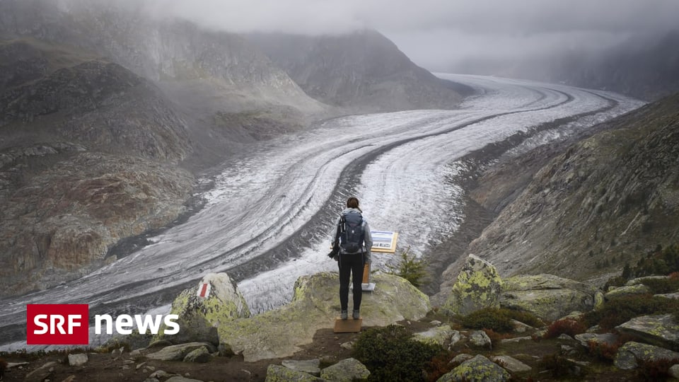 Catarina 4 fun leaks that girl Claire was easy to contact