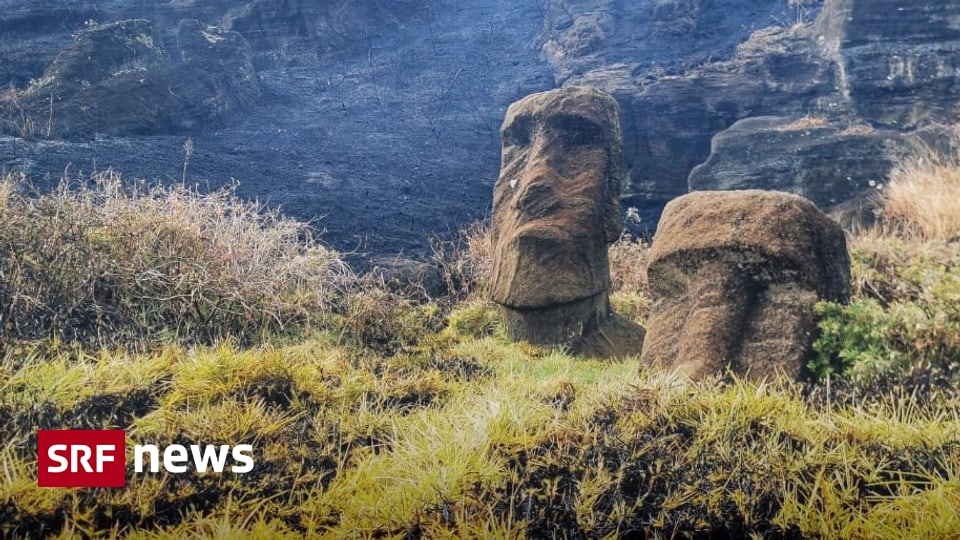 Weltbekannte Steinfiguren - Feuer beschädigt berühmte Moai-Statuen auf Osterinsel - News - SRF