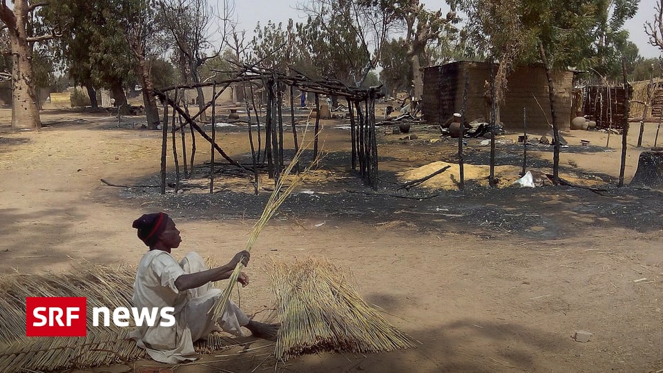International - Eine gemeinsame Front gegen Boko Haram - News - SRF