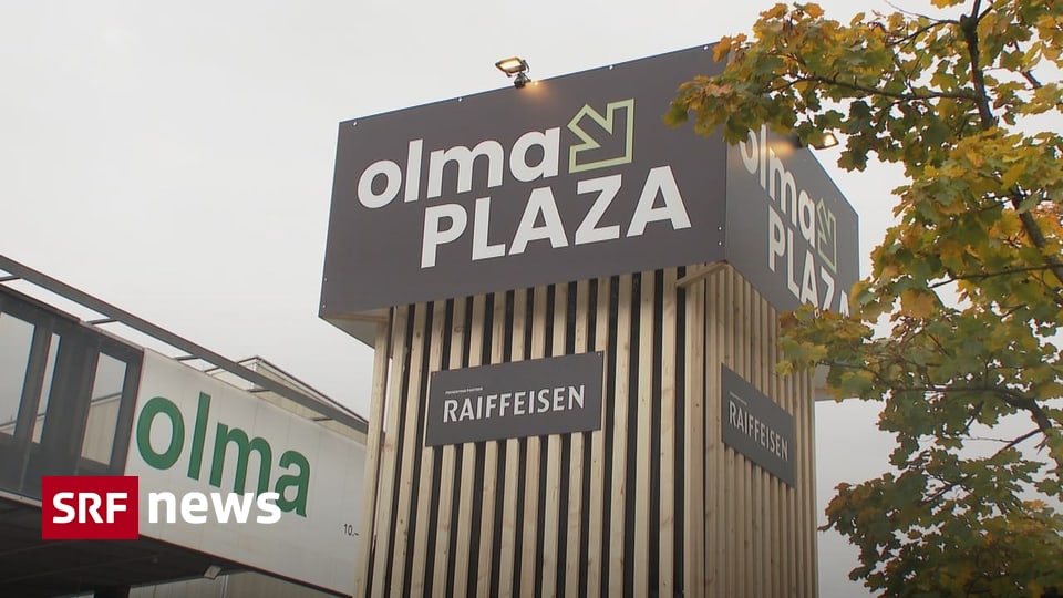 «Olmaplaza»: Kritik am neuen Olma-Angebot mit Club und Restaurant ...