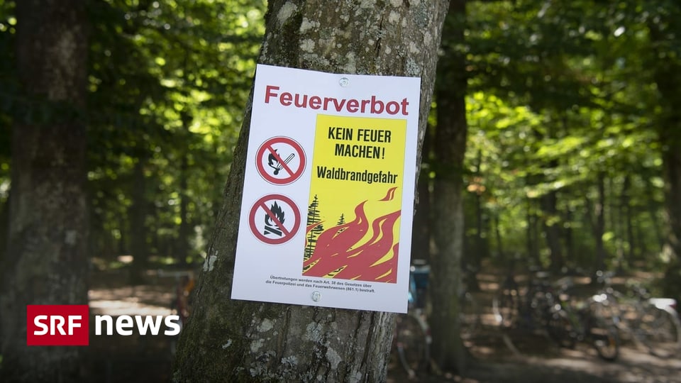 Zu viel Bise, zu wenig Regen - Schluss mit Grillieren in Zürcher Wäldern - News - SRF