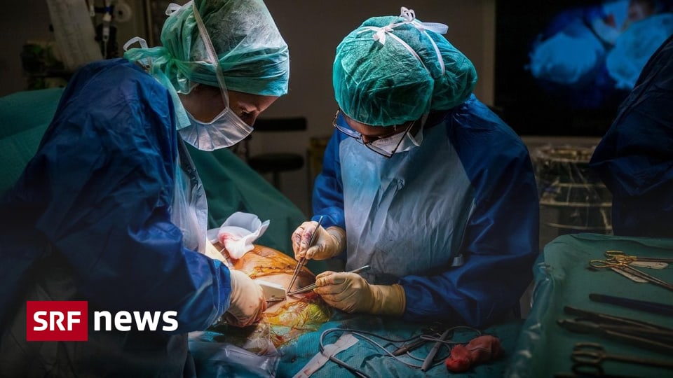 Vier Nierentransplantationen gleichzeitig – Rekord in Genf - News - SRF