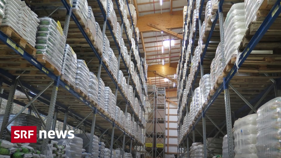 Hohe Preise, schlechtes Wetter - 10'000 Paletten in Berner Halle: Warum ... Hohe Preise, schlechtes Wetter - 10'000 Paletten in Berner Halle: Warum ...