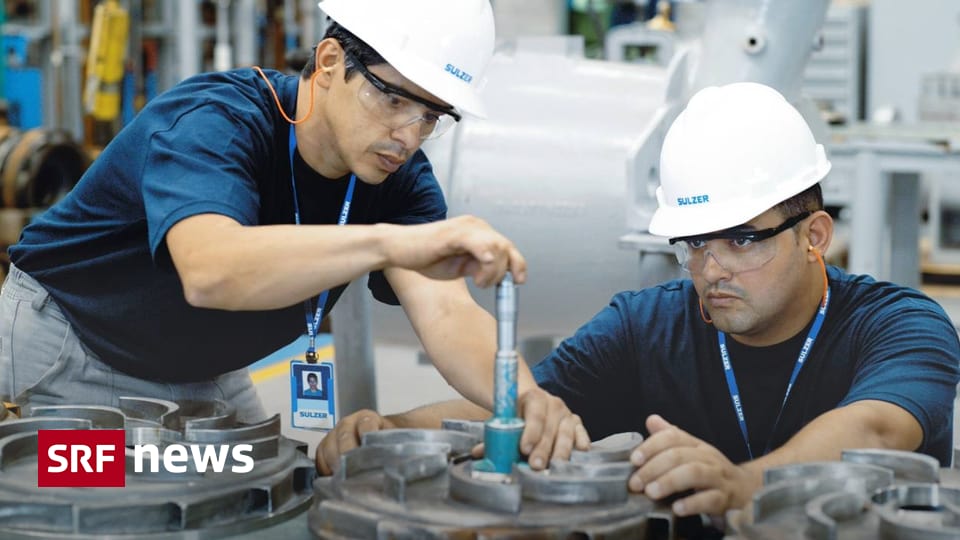 Wirtschaft - Rentabler Einkauf: Sulzer mit Rekordumsatz dank Cardo Flow ...