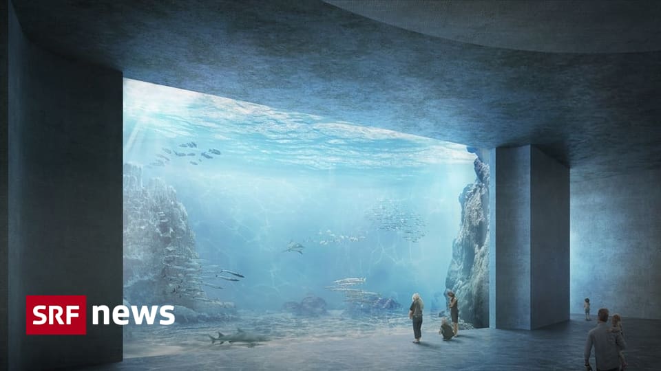 Umstrittenes Ozeanium - Schutzprojekt oder Besuchermagnet? - News - SRF