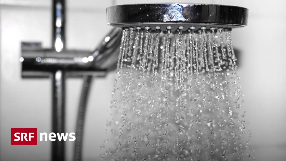 Bakterielle Infektion - Der Bund will mehr wissen über die ...