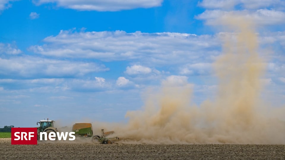 Trockenheit Europa - Kaum Regen in der Schweiz – Dürre in Deutschland - News - SRF