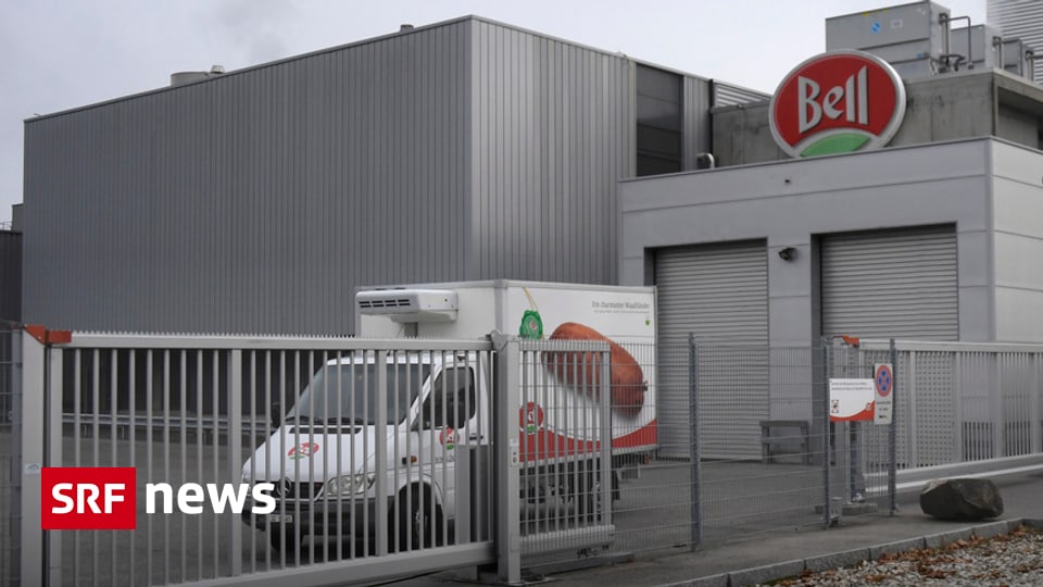 Schlachthof Bell Oensingen - Mehrere Verletzte bei Räumung des Areals ...