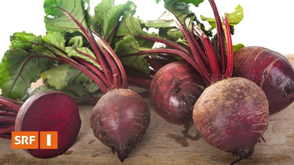 Rande - Rande – Gibt mehr her als nur Randen-Salat - Radio SRF 1 - SRF