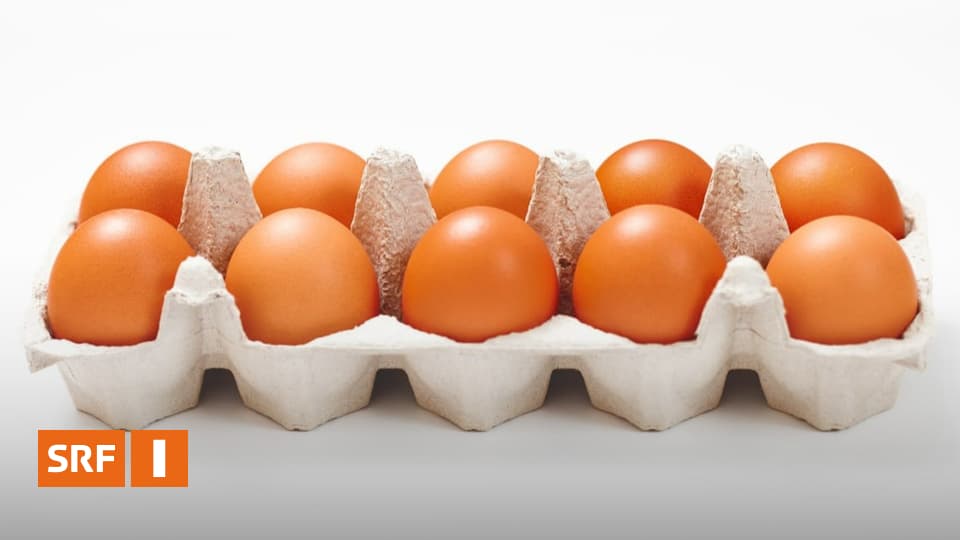 Eier lagern und kochen - Wie lange bleibt ein Ei eigentlich frisch ...