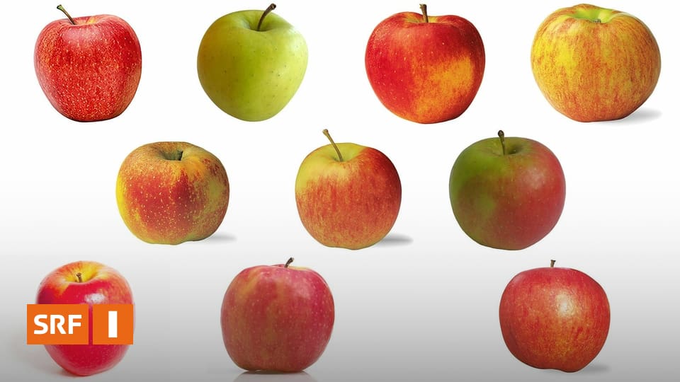 Die Apfel-Hitparade - Die Top 10 der beliebtesten Schweizer Apfelsorten ...