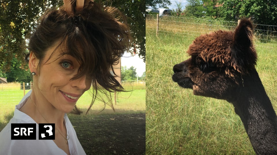 Aktuell - Mona Vetsch trifft selfiegeile Alpakas - Radio SRF 3 - SRF