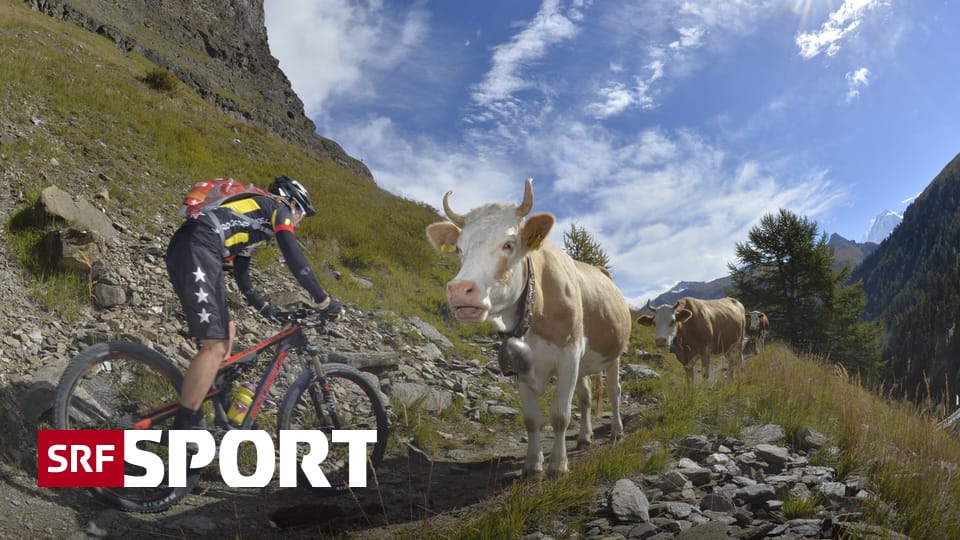 Rad - Swiss Epic: Auf dem Bike durch die Schweizer Alpen - Sport - SRF
