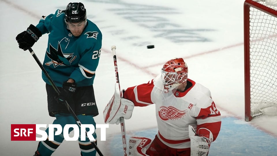 Josis Preds in den Playoffs - 62 Skorerpunkte: Meier wie einst Streit ...