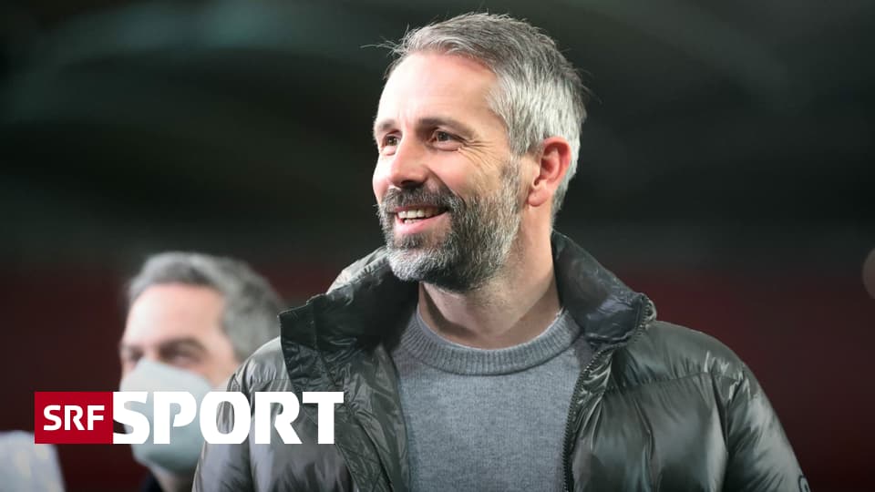 Internationale Fussball-News - Gladbach-Trainer Rose geht im Sommer zum ...