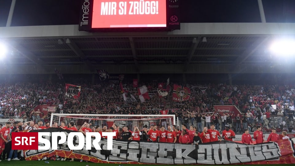 Zum Aufstieg des FC Thun - Dank Beständigkeit und Balance zurück in die ...