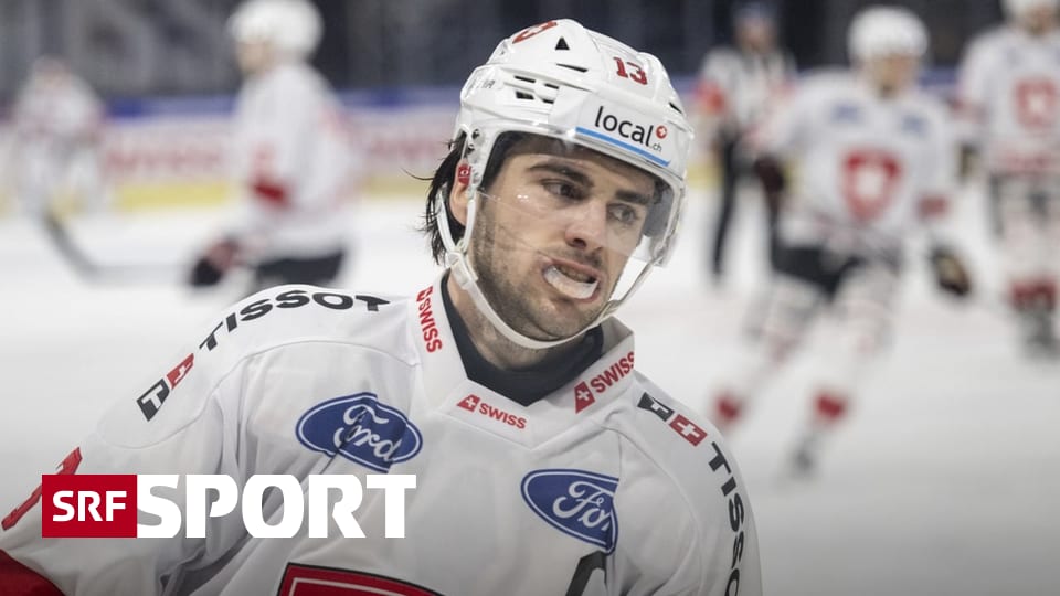 Schweizer Eishockey-WM-Kader - Die Spieler von Coach Fischer im ...