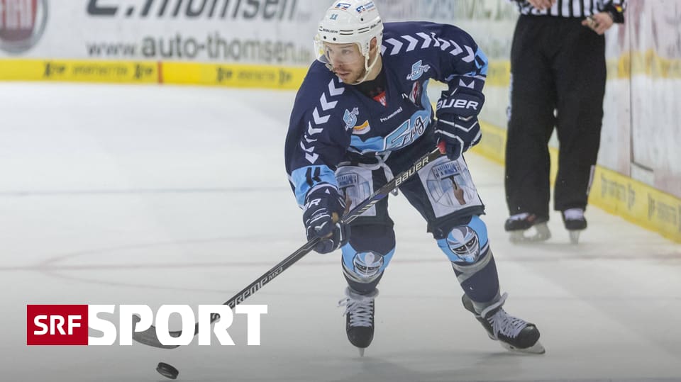 National League - Eishockey-News: DEL-Stürmer des Jahres zu Langnau ...