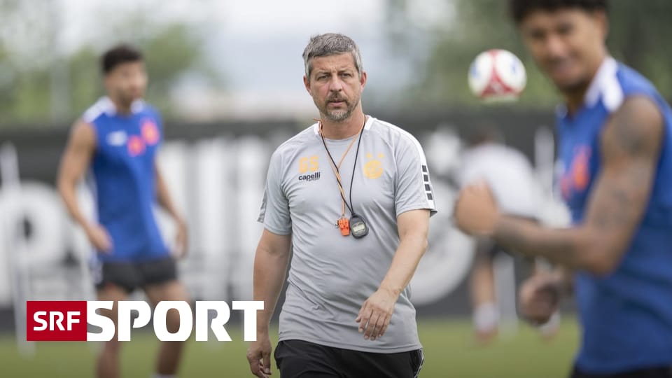 Frischer Wind bei GC - Scheiblehner: «Dann werden die Ergebnisse automatisch kommen» - Sport - SRF