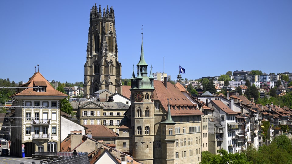 Gemeindewahlen Freiburg: Kandidatenmangel und Kandidatenschwemme ...