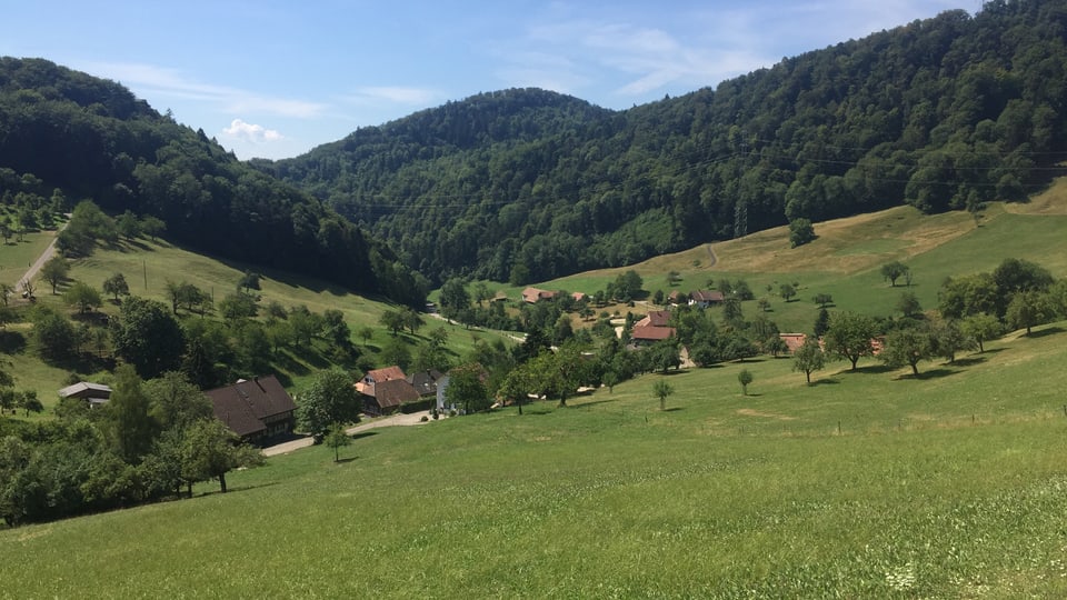 Mehr Schutz und klare Regeln für den Solothurner Wald - Audio ...